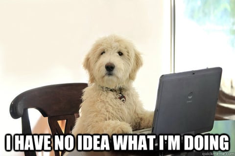 ERP Implementation Strategy: 6 Lessons from Dog Memes