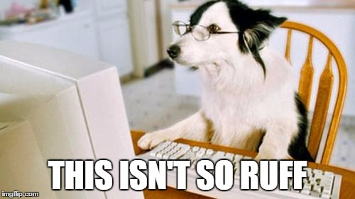 ERP Implementation Strategy: 6 Lessons from Dog Memes